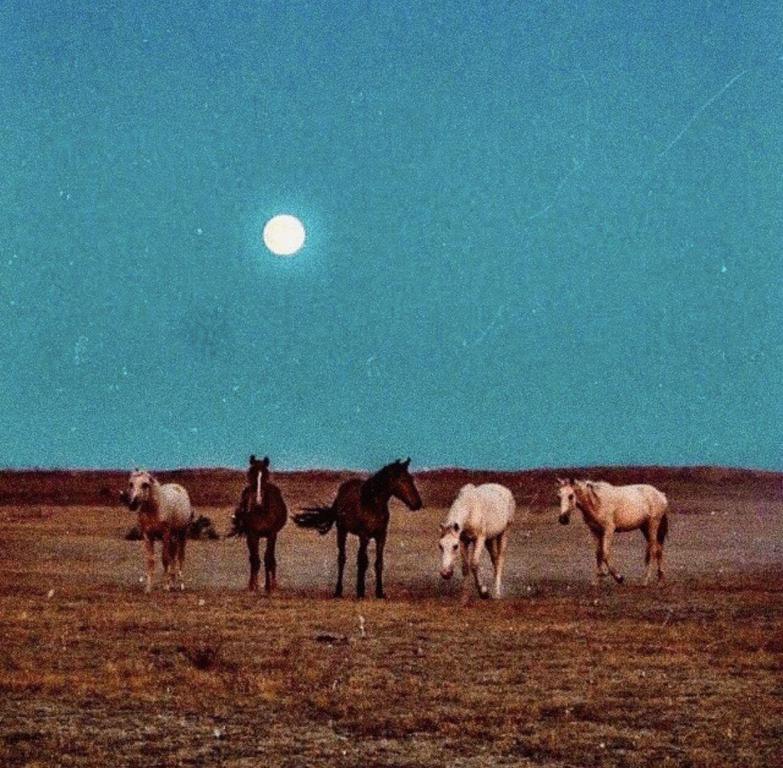 Horse Collage Wallpapers - Top Free Horse Collage Backgrounds ...