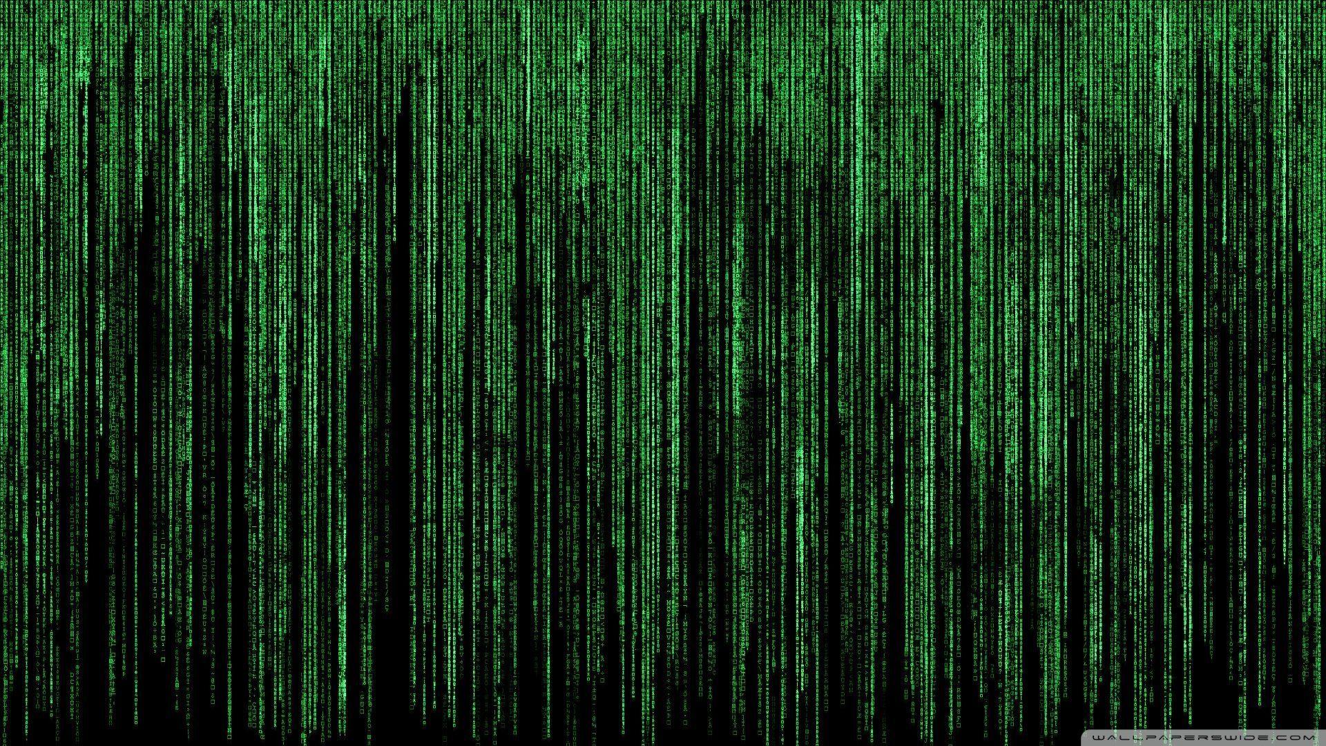 Dark Matrix Wallpapers - Top Free Dark Matrix Backgrounds - WallpaperAccess