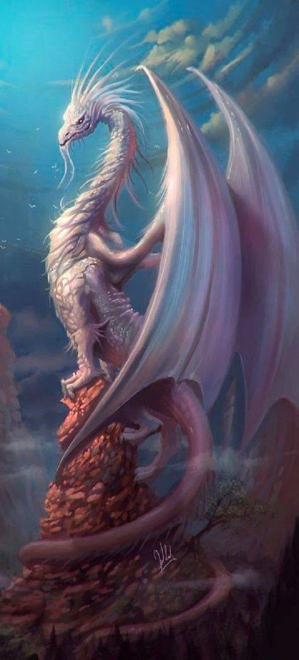 Dragon Protecting Woman HD Wallpapers - Top Free Dragon Protecting ...