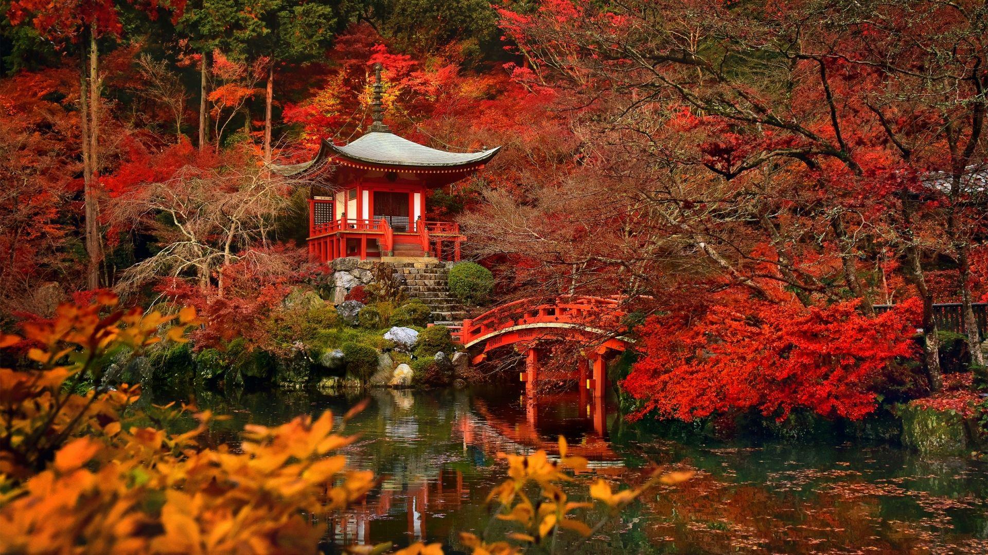 Kyoto Autumn Wallpapers - Top Free Kyoto Autumn Backgrounds ...