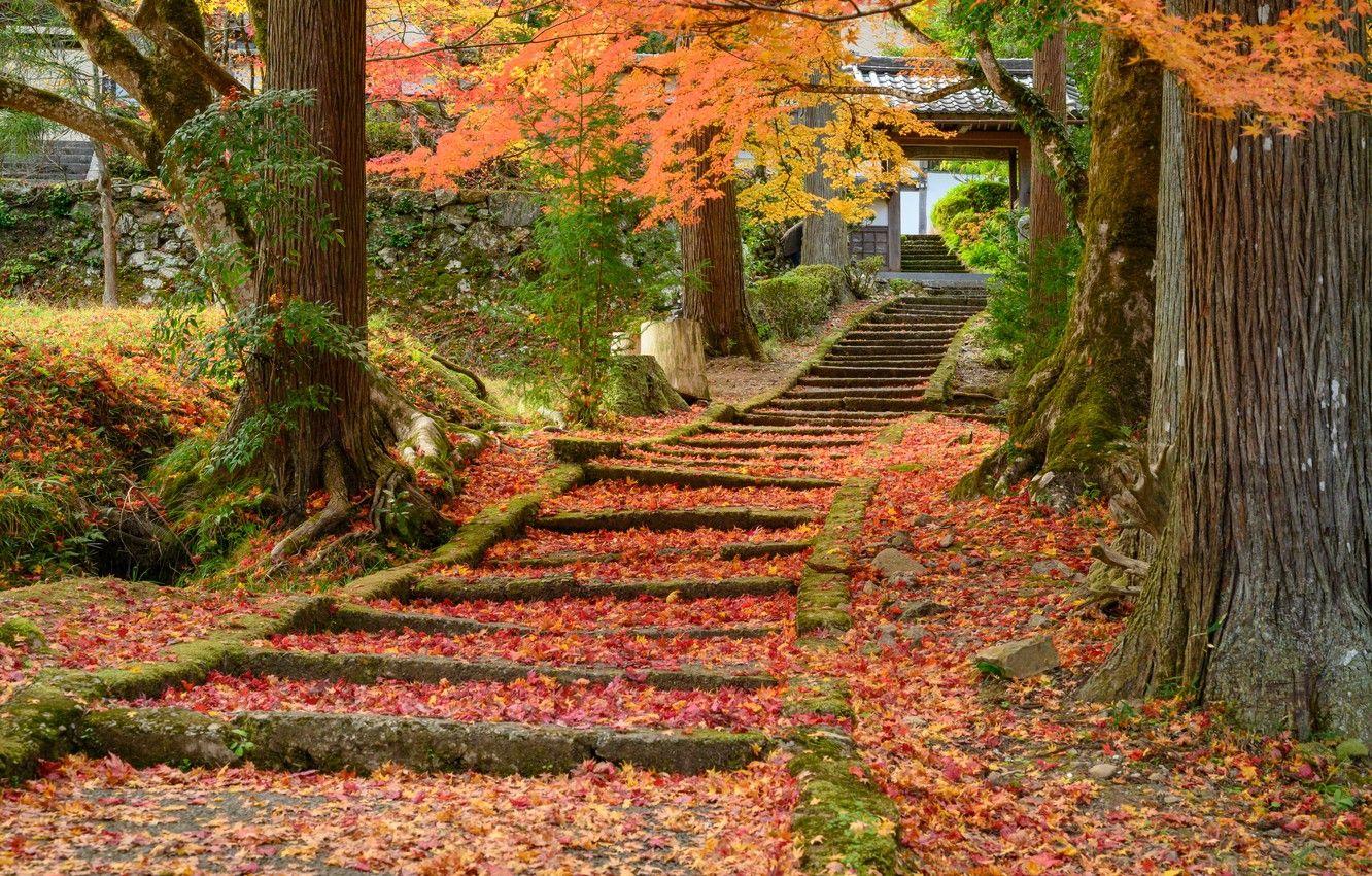 Autumn Japan Wallpapers - Top Free Autumn Japan Backgrounds ...