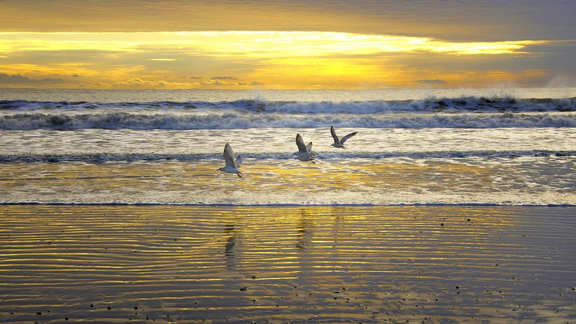 Autumn Beach Wallpapers - Top Free Autumn Beach Backgrounds ...