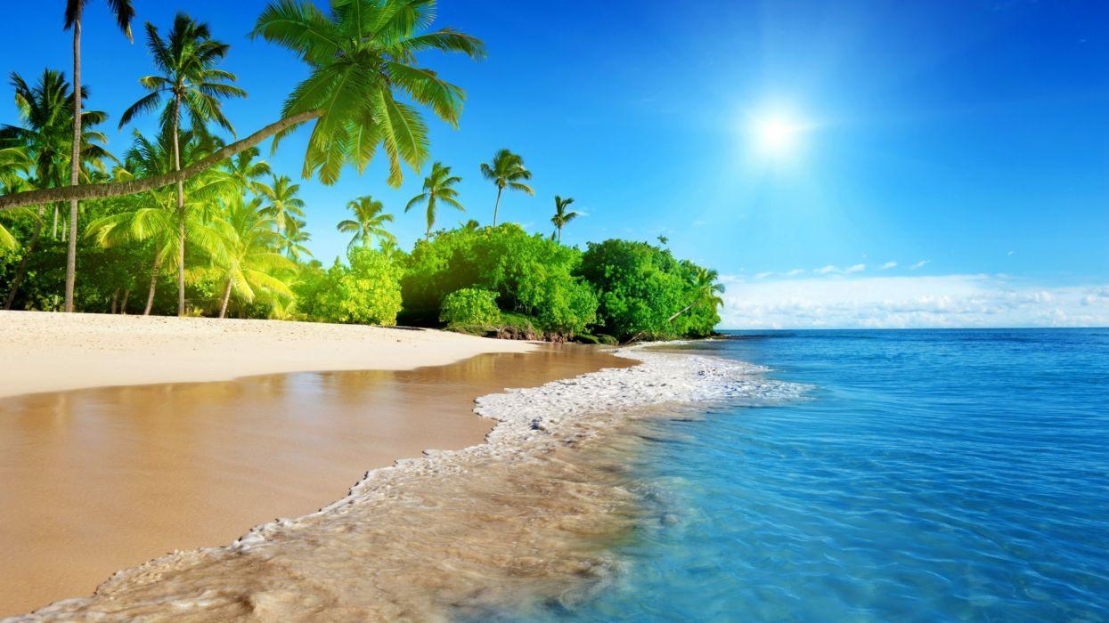 Ocean Palm Tree Wallpapers - Top Free Ocean Palm Tree Backgrounds ...