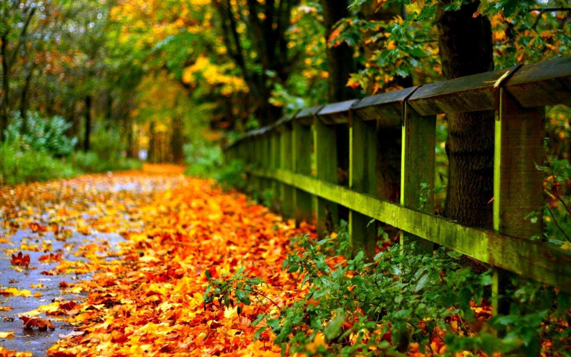 Autumn Country Wallpapers - Top Free Autumn Country Backgrounds ...