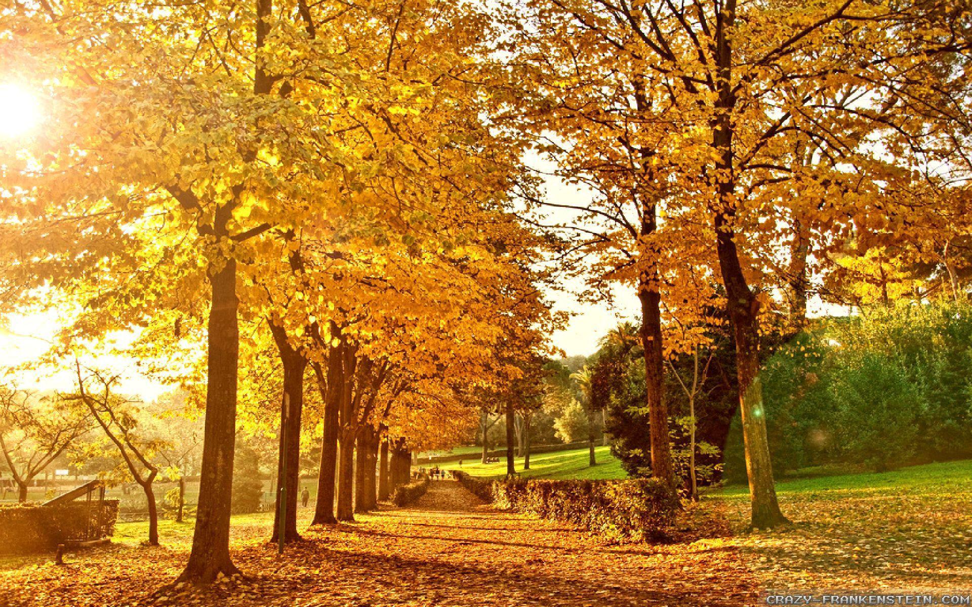 Autumn Country Wallpapers - Top Free Autumn Country Backgrounds ...