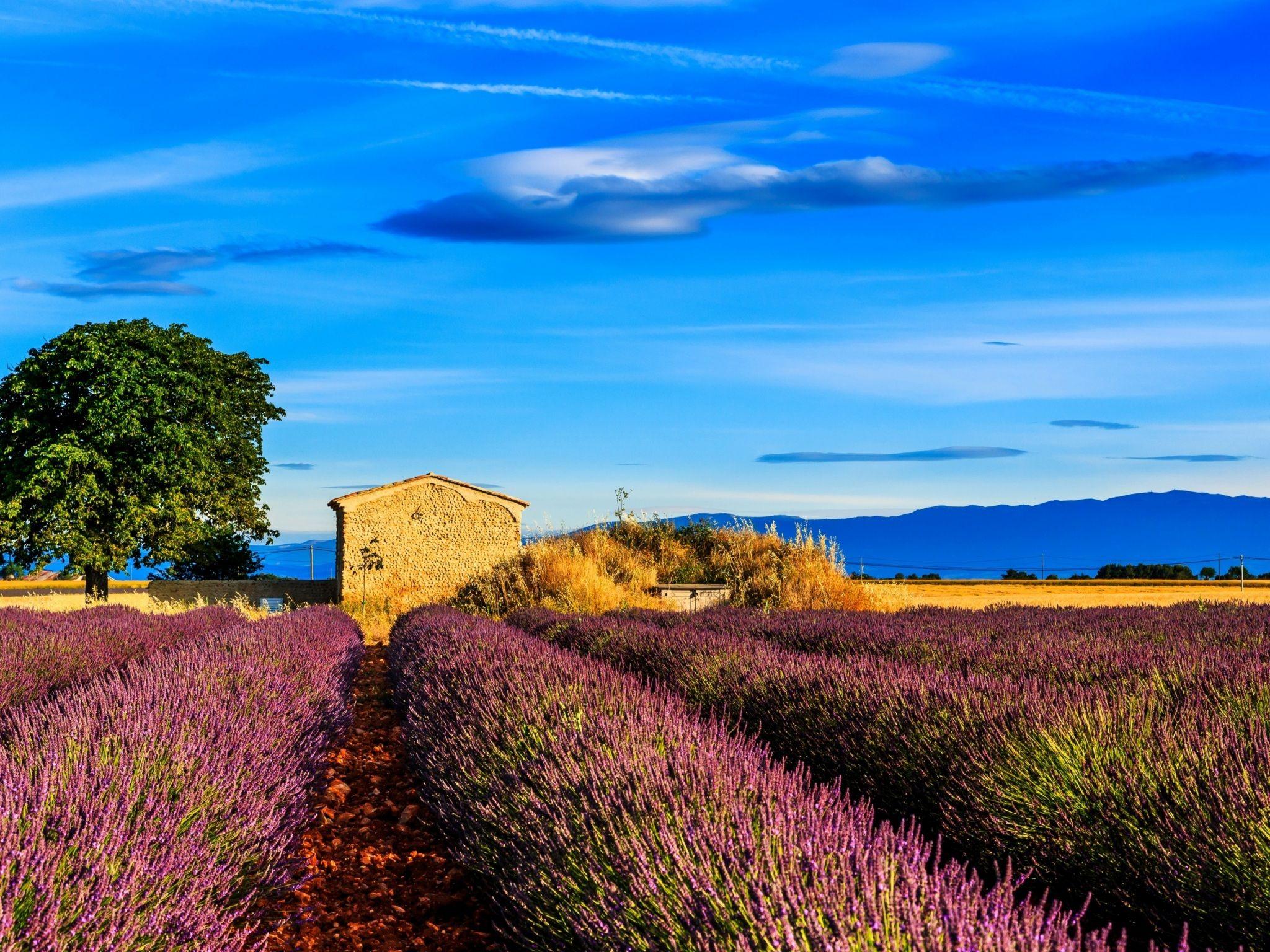 Farm Field Nature 4K Wallpapers - Top Free Farm Field Nature 4K ...