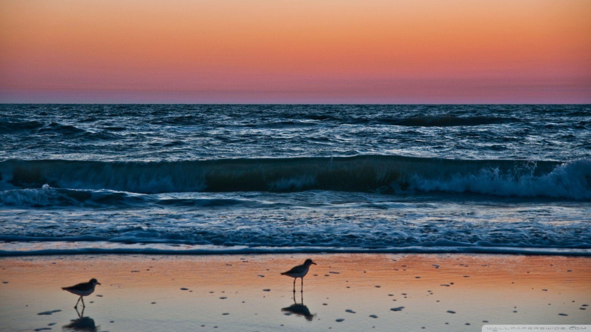 Florida Sunset Desktop Wallpapers - Top Free Florida Sunset Desktop ...