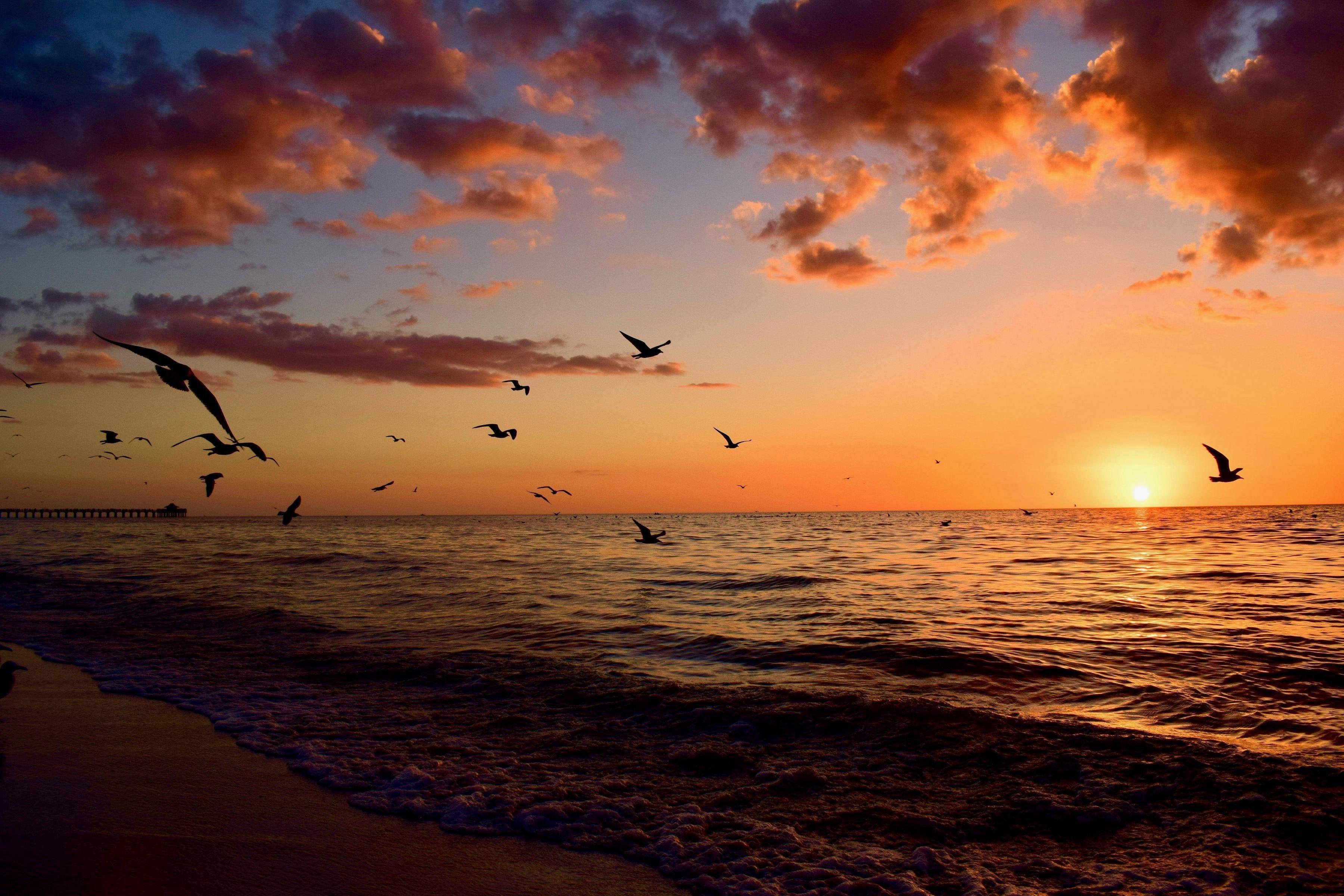 Florida Sunset Desktop Wallpapers - Top Free Florida Sunset Desktop ...