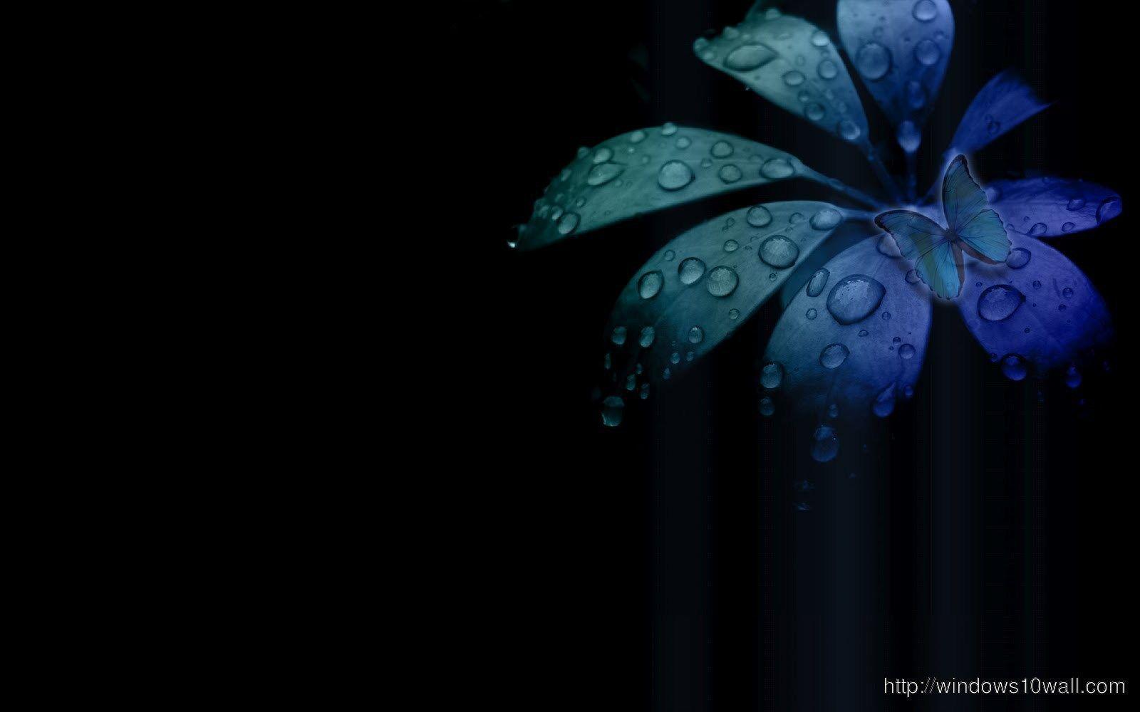 Black Abstract Flower Desktop Wallpapers - Top Free Black Abstract ...