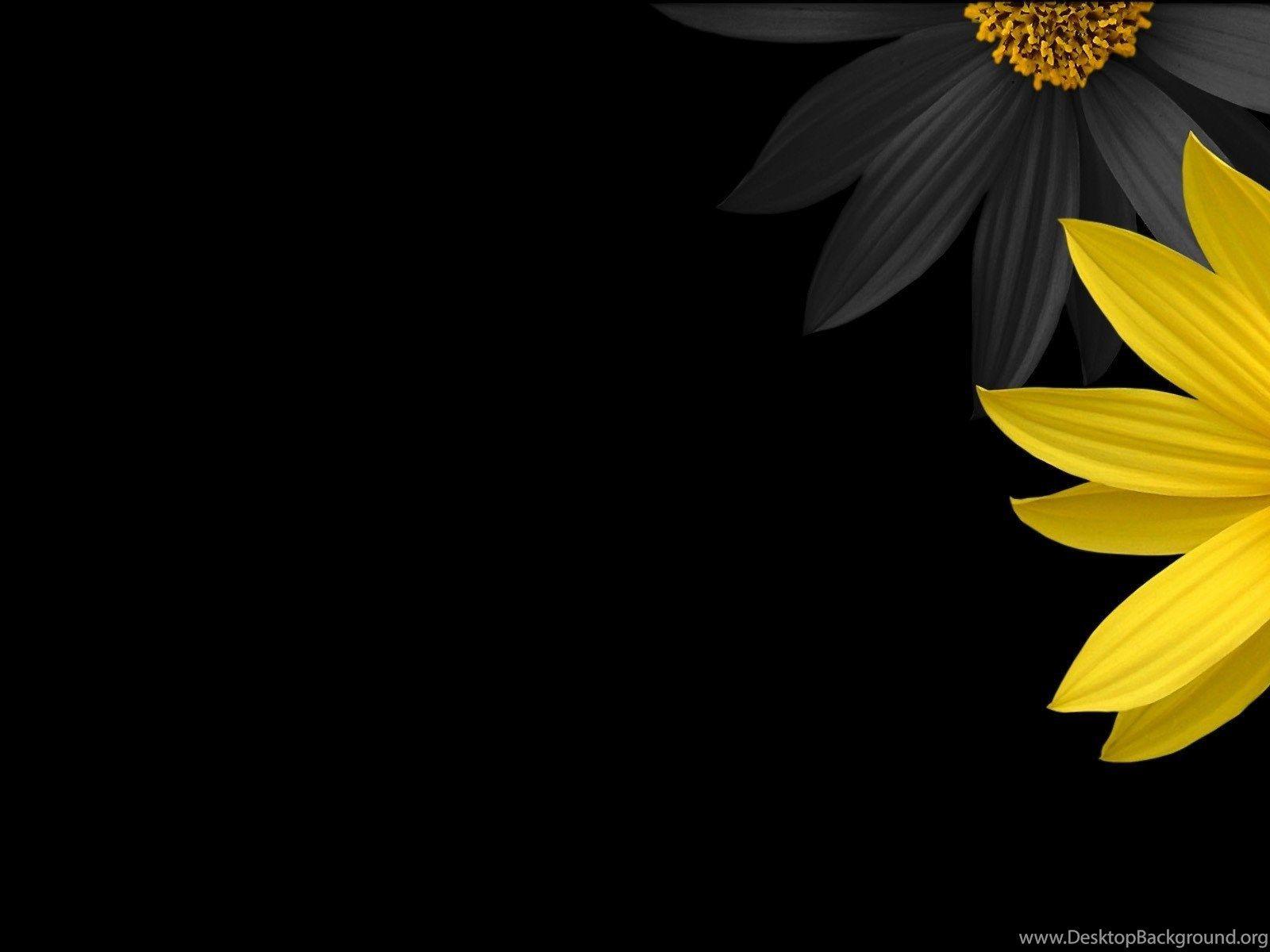 Black Flower Desktop Wallpapers - Top Free Black Flower Desktop ...