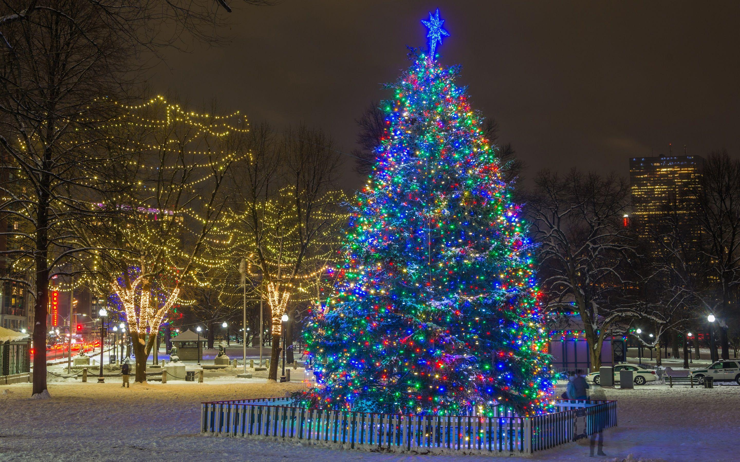 Boston Christmas Wallpapers - Top Free Boston Christmas Backgrounds ...
