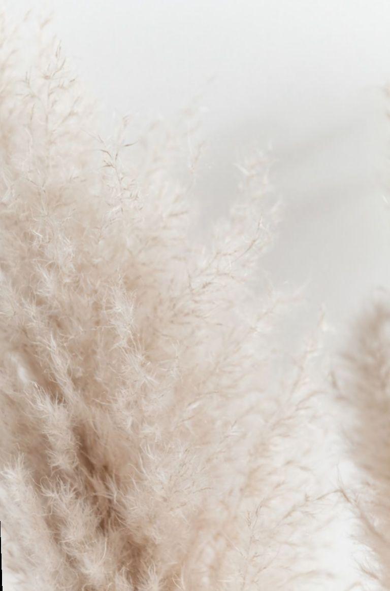 Simple Beige Wallpapers - Top Free Simple Beige Backgrounds ...