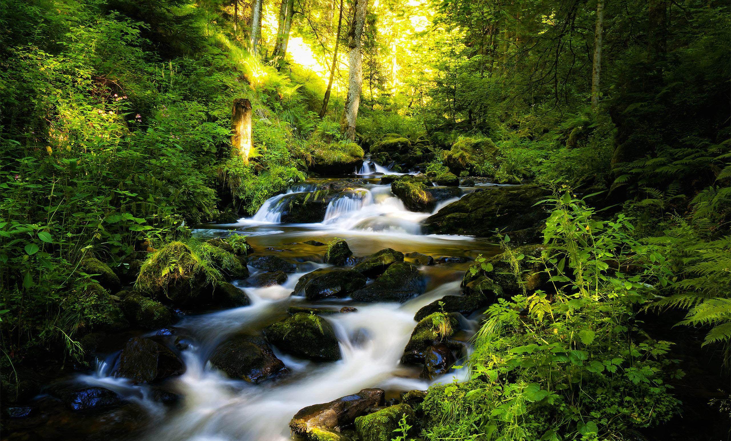 Catering Wallpapers - Top Free Catering Backgrounds - WallpaperAccess