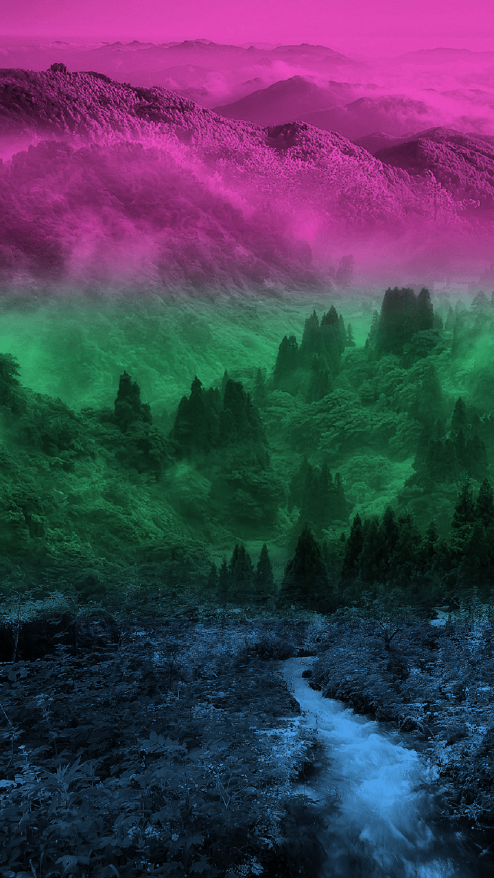 Polysexual Wallpapers - Top Free Polysexual Backgrounds - WallpaperAccess