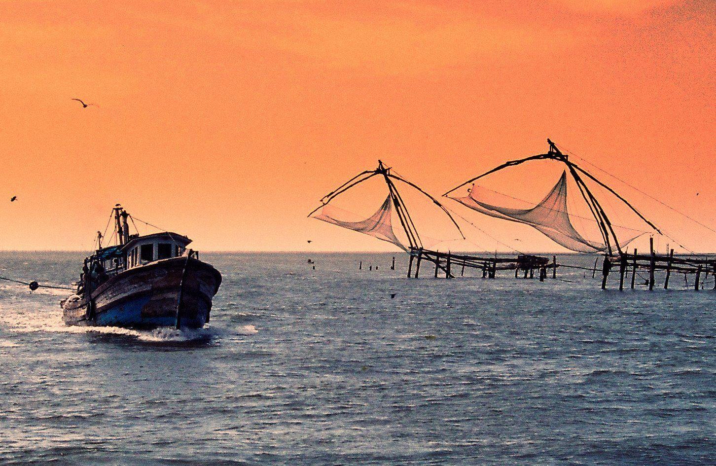 Kochi Wallpapers - Top Free Kochi Backgrounds - WallpaperAccess