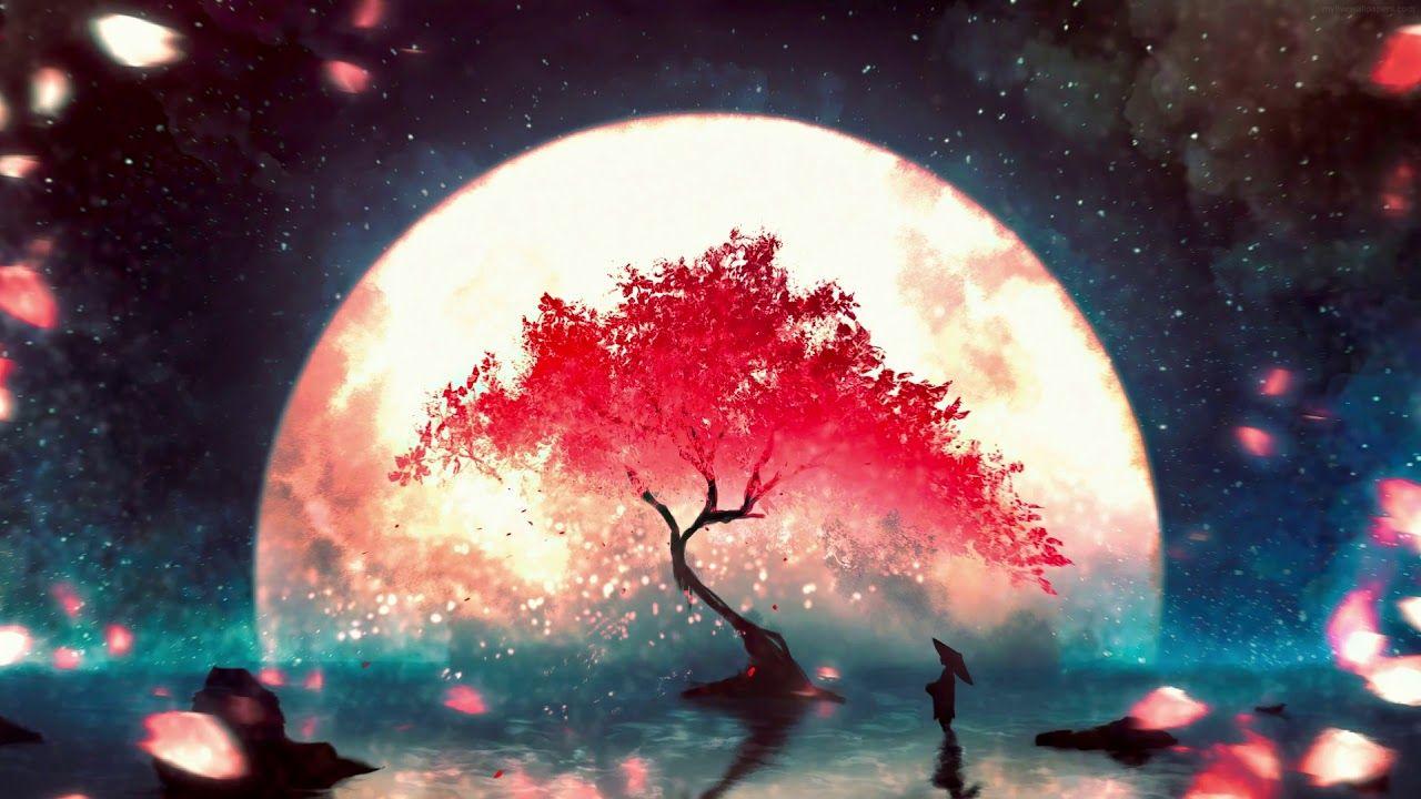 Sakura Tree Anime Wallpapers - Top Free Sakura Tree Anime Backgrounds ...