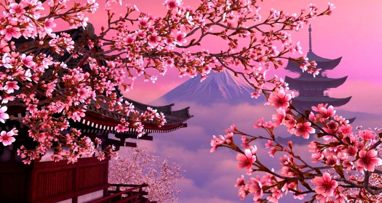 Anime Cherry Blossom Tree Wallpapers - Top Free Anime Cherry Blossom ...