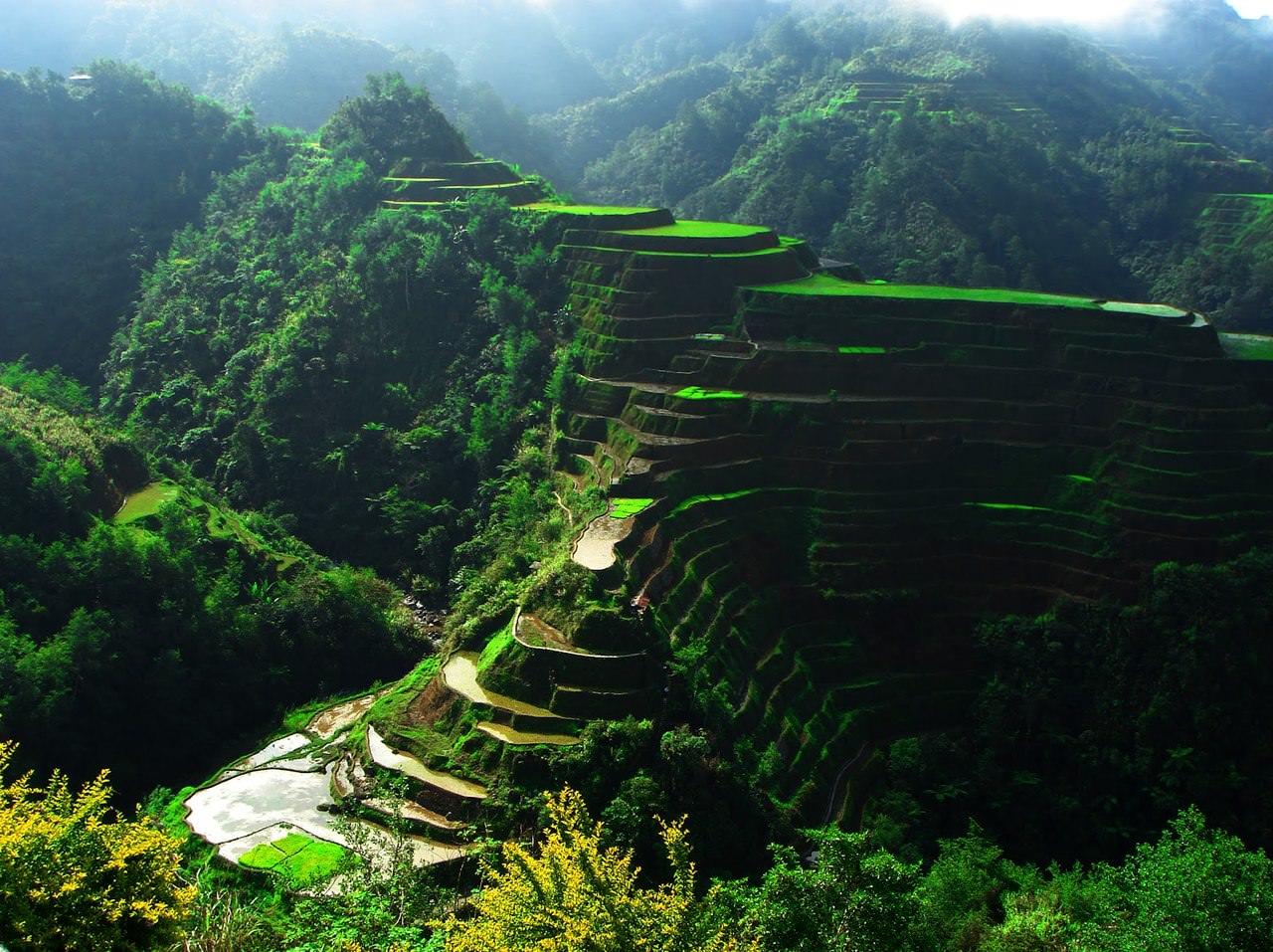 Philippines Rice Wallpapers - Top Free Philippines Rice Backgrounds ...