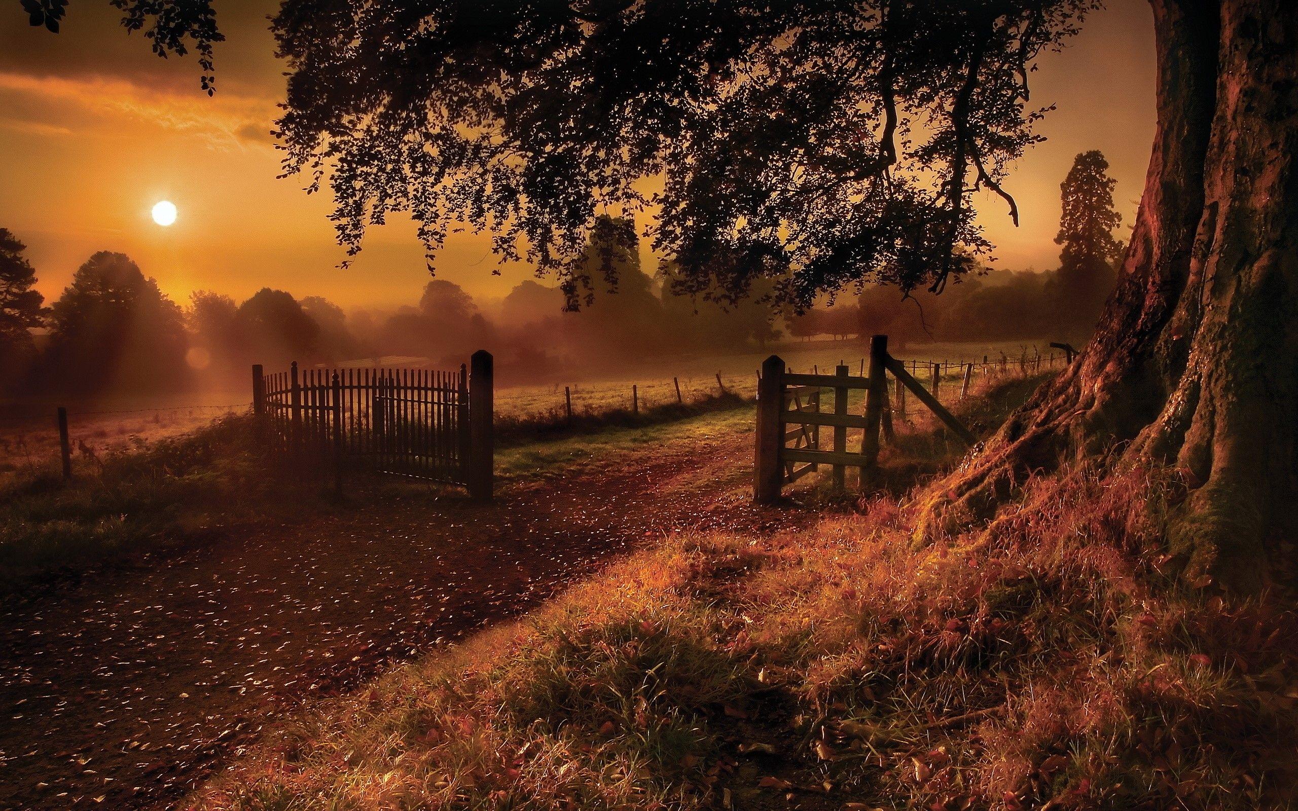 Emptiness Wallpapers - Top Free Emptiness Backgrounds - WallpaperAccess