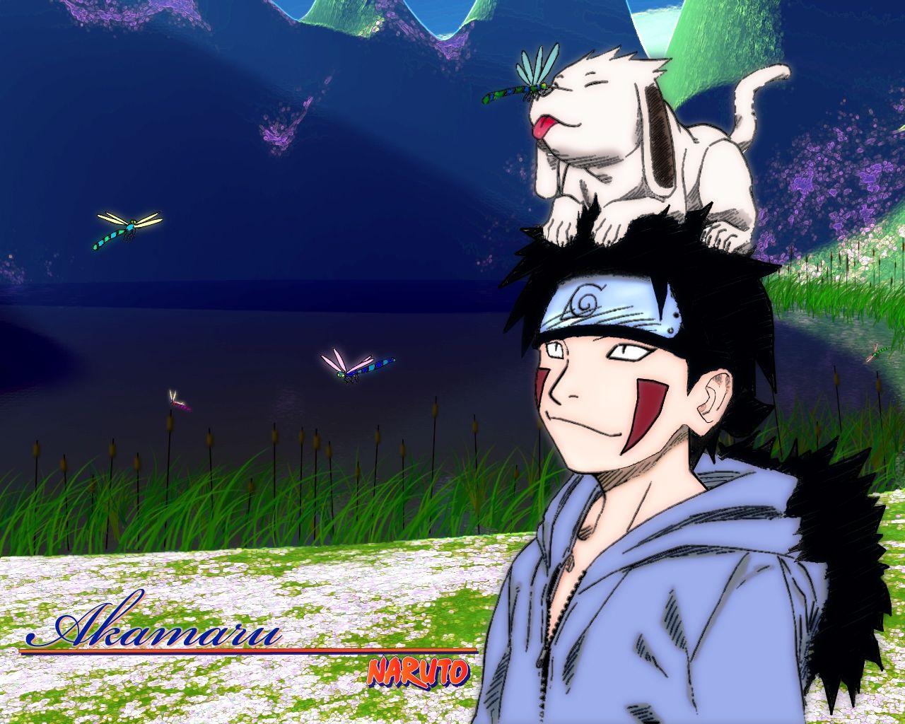Kiba And Akamaru Wallpapers - Top Free Kiba And Akamaru Backgrounds ...