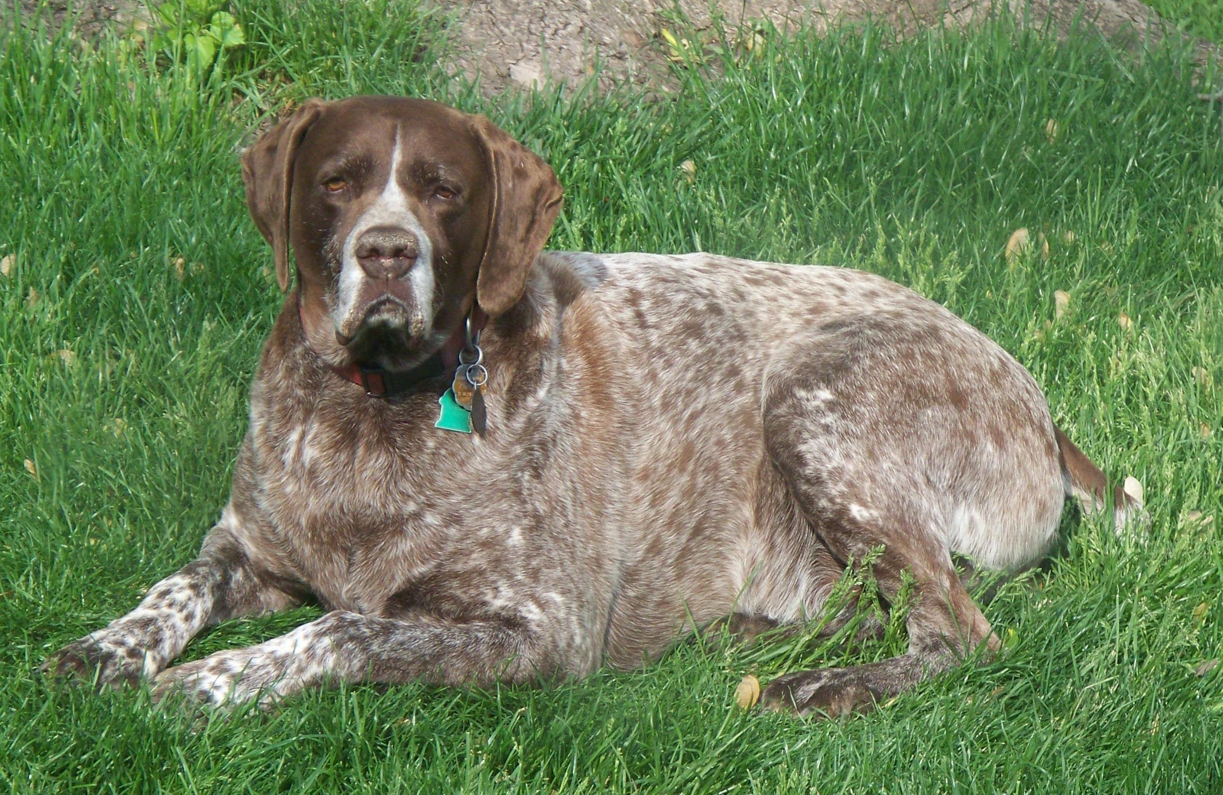 Pointer Wallpapers - Top Free Pointer Backgrounds - WallpaperAccess