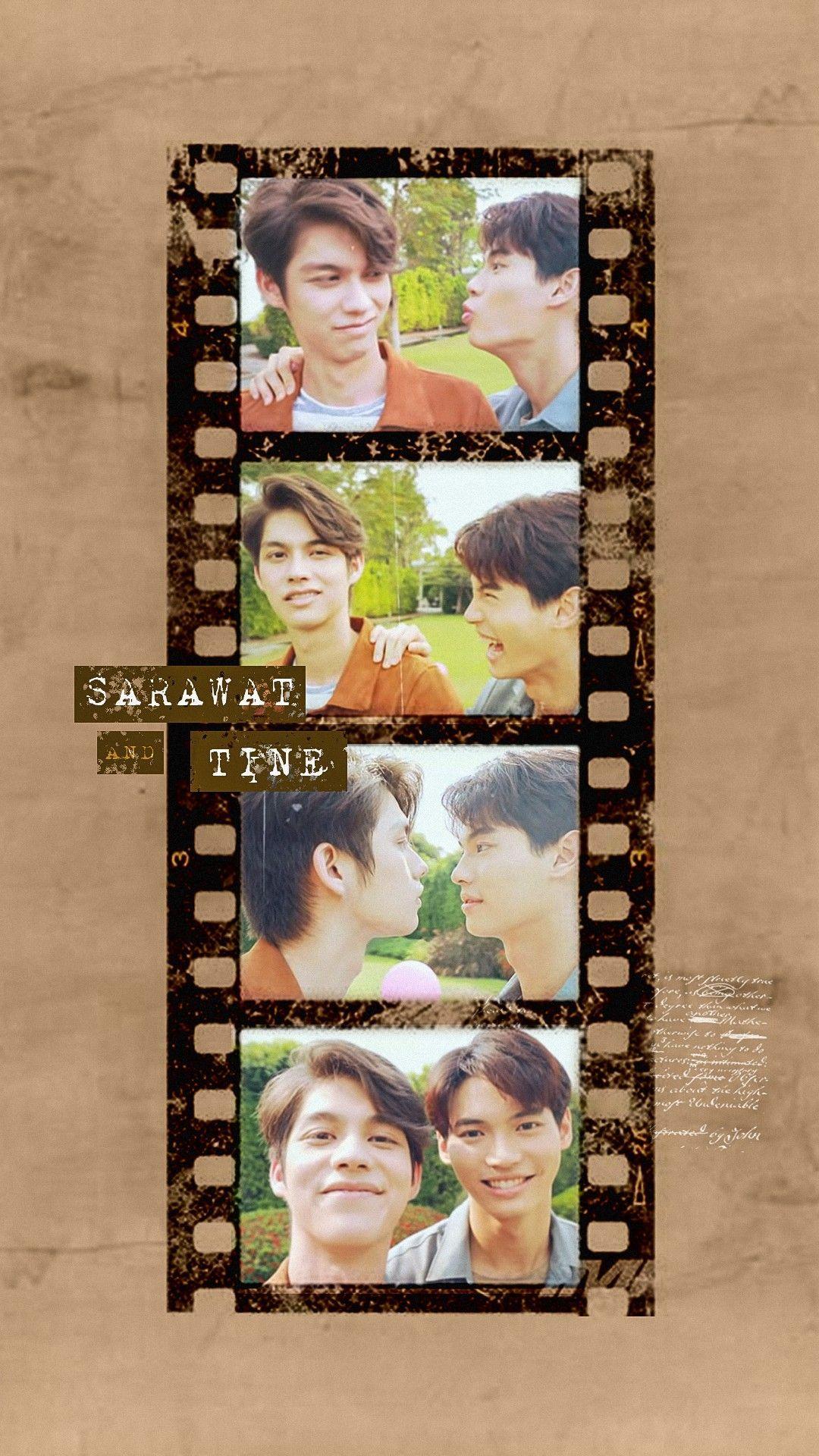 Sarawat Wallpapers - Top Free Sarawat Backgrounds - WallpaperAccess