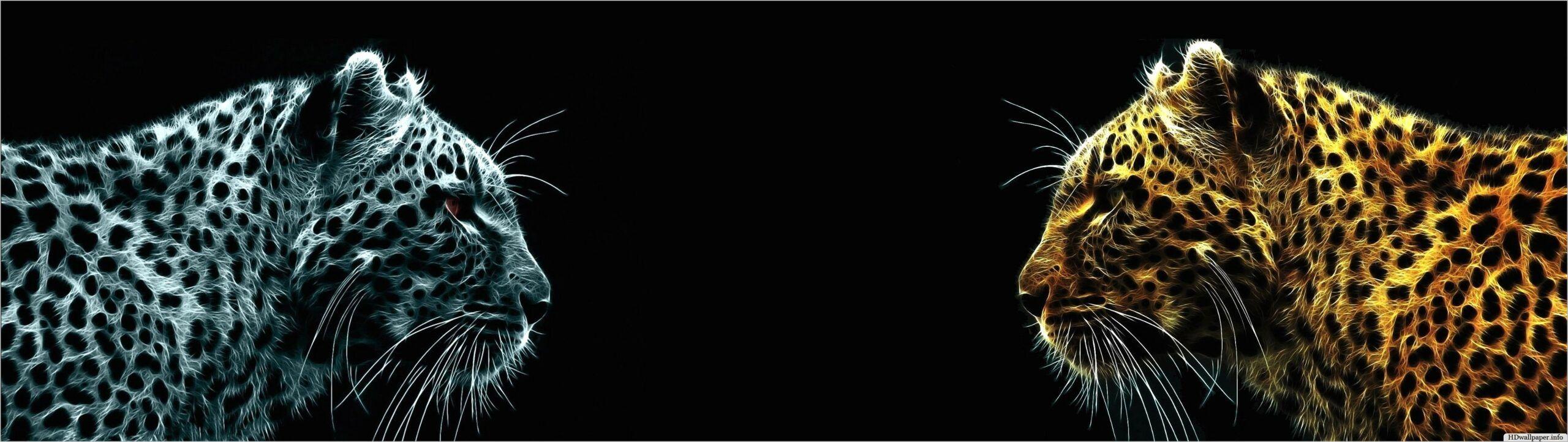 Razer Dual Monitor Wallpapers - Top Free Razer Dual Monitor Backgrounds ...