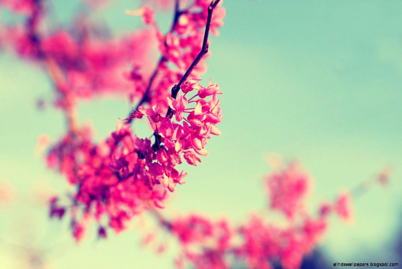 Vintage Summer Desktop Wallpapers - Top Free Vintage Summer Desktop ...