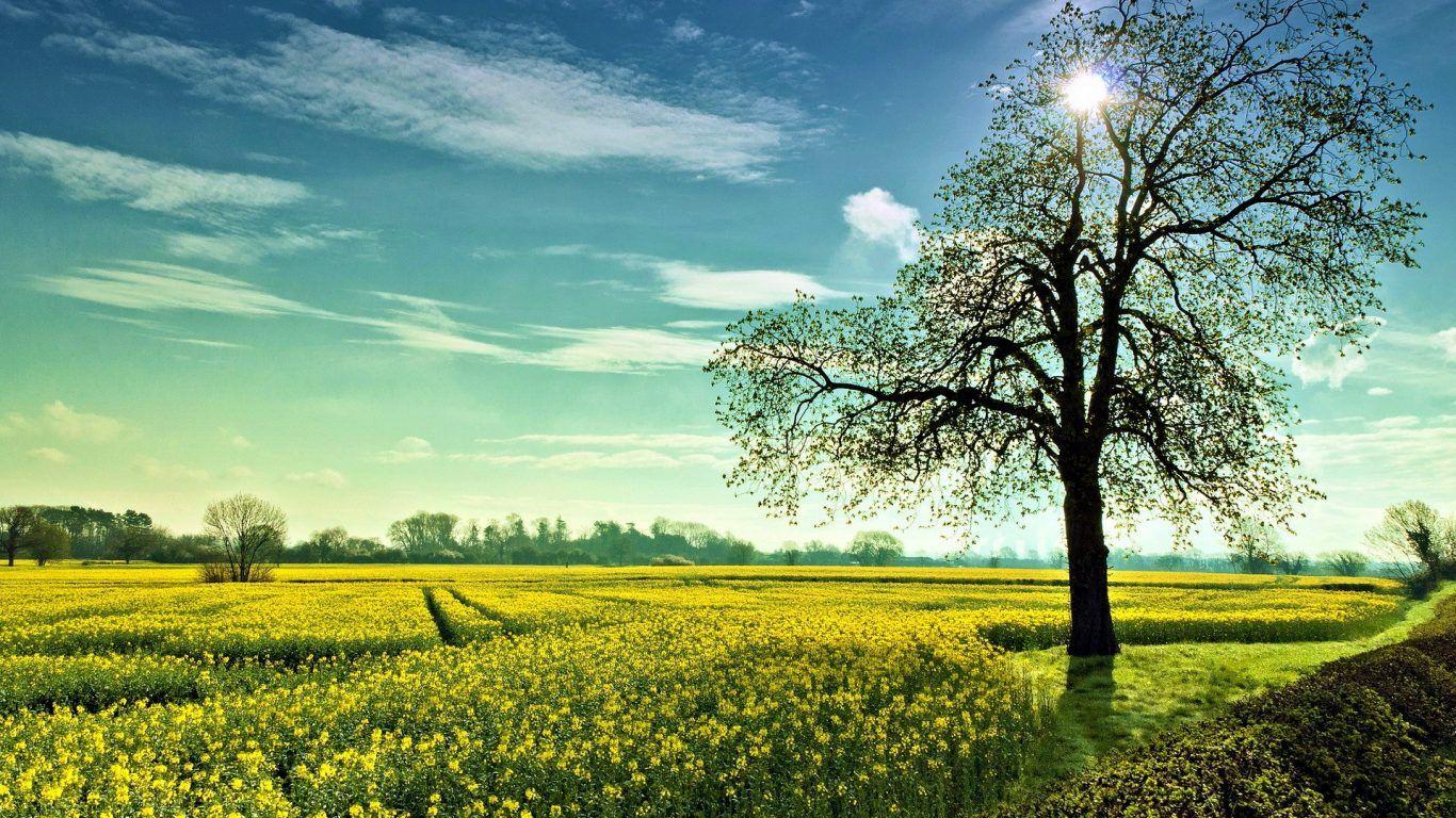 Vintage Summer Desktop Wallpapers - Top Free Vintage Summer Desktop ...