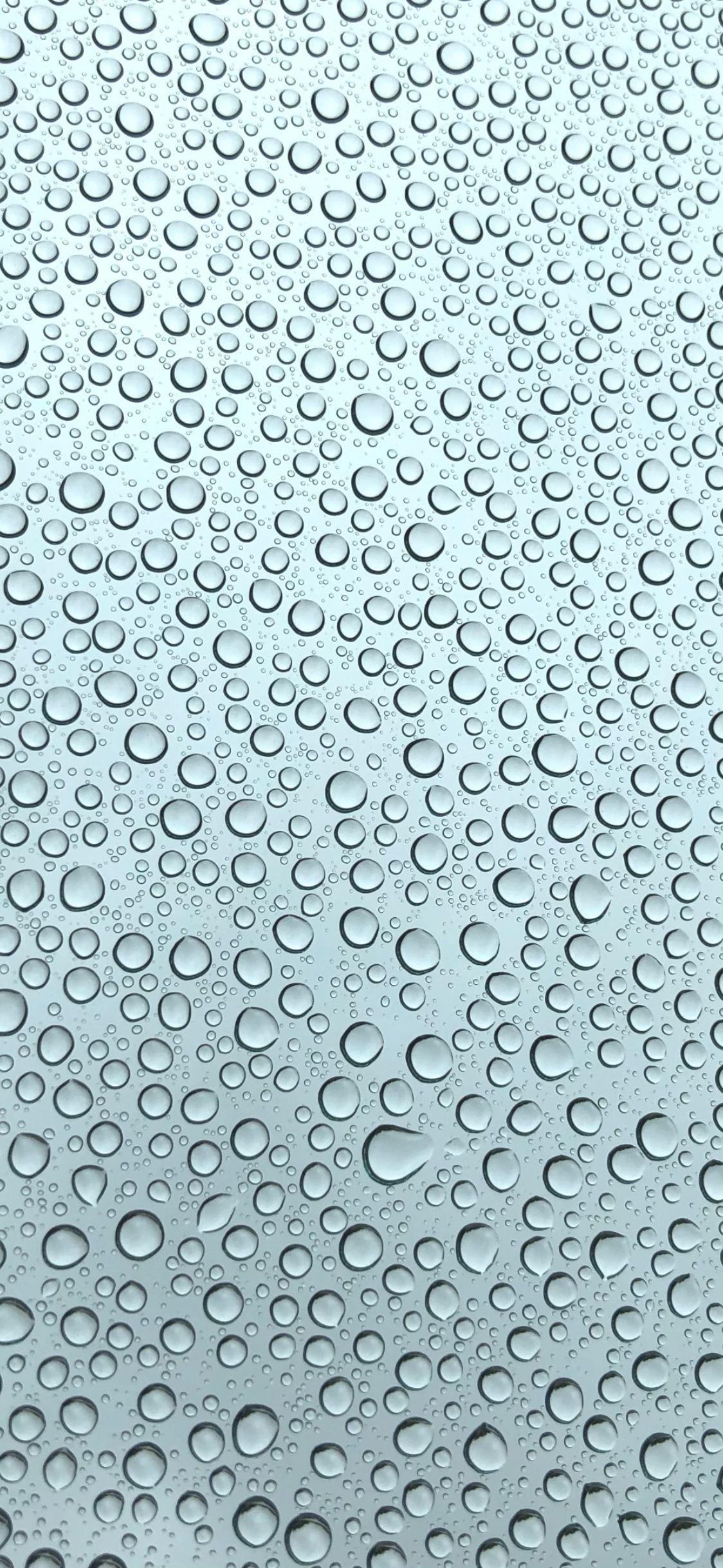 Trypophobia Wallpapers - Top Free Trypophobia Backgrounds - WallpaperAccess