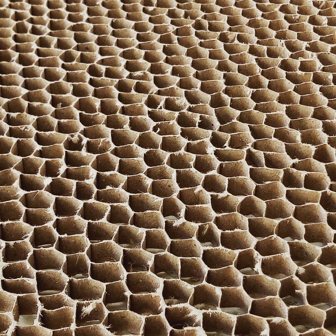 Trypophobia Wallpapers - Top Free Trypophobia Backgrounds - WallpaperAccess