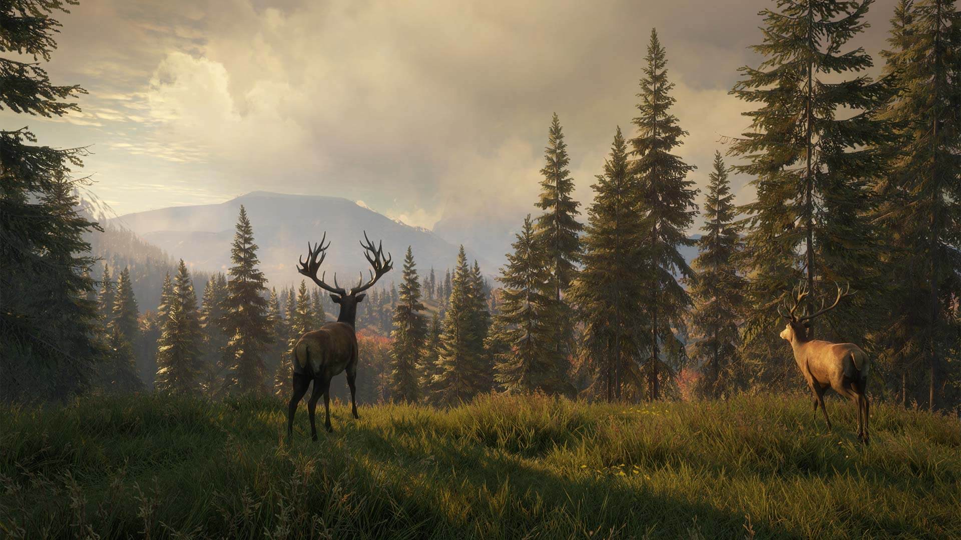 theHunter: Call of the Wild Wallpapers - Top Free theHunter: Call of ...