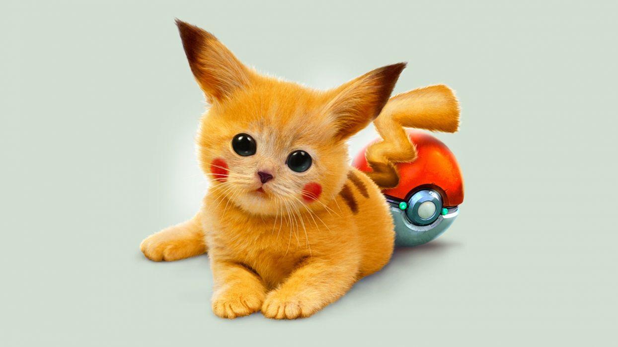 Anime Pikachu Wallpapers Top Free Anime Pikachu Backgrounds Wallpaperaccess