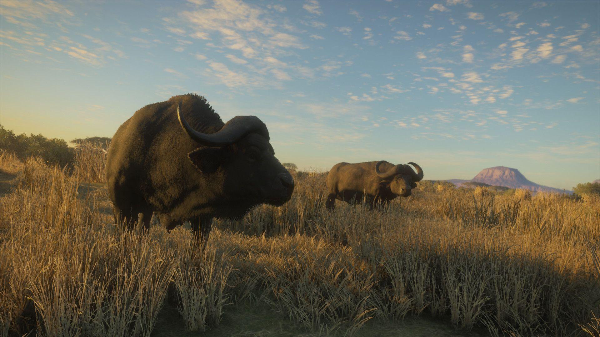 theHunter: Call of the Wild Wallpapers - Top Free theHunter: Call of ...