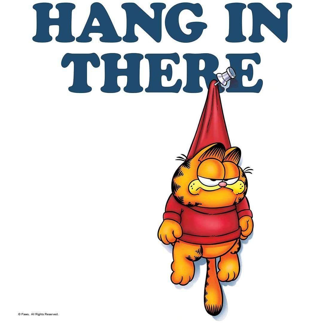 Hang in There Wallpapers - Top Free Hang in There Backgrounds ...