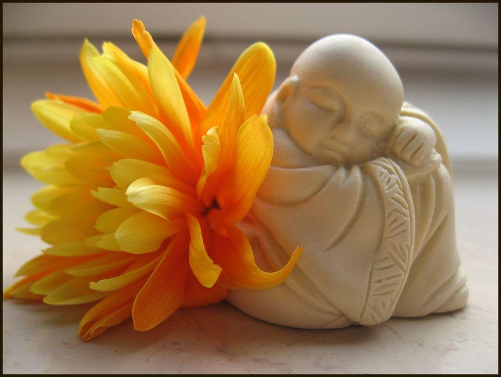 Cute Buddha Wallpapers - Top Free Cute Buddha Backgrounds - WallpaperAccess
