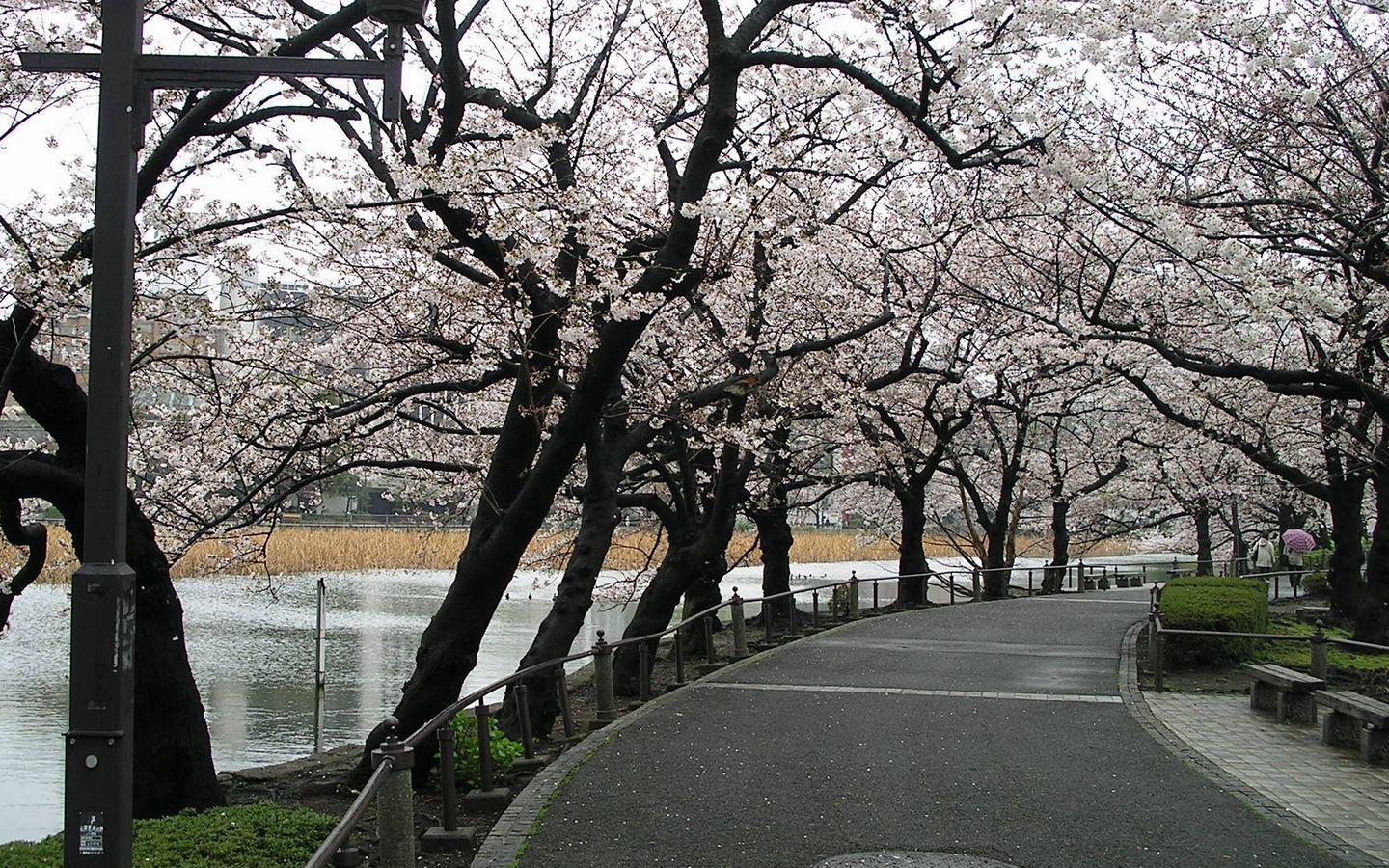 Park Street Wallpapers - Top Free Park Street Backgrounds - WallpaperAccess