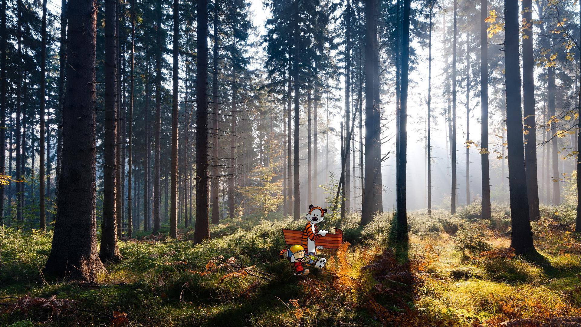 Real Life Wallpapers - Top Free Real Life Backgrounds - WallpaperAccess