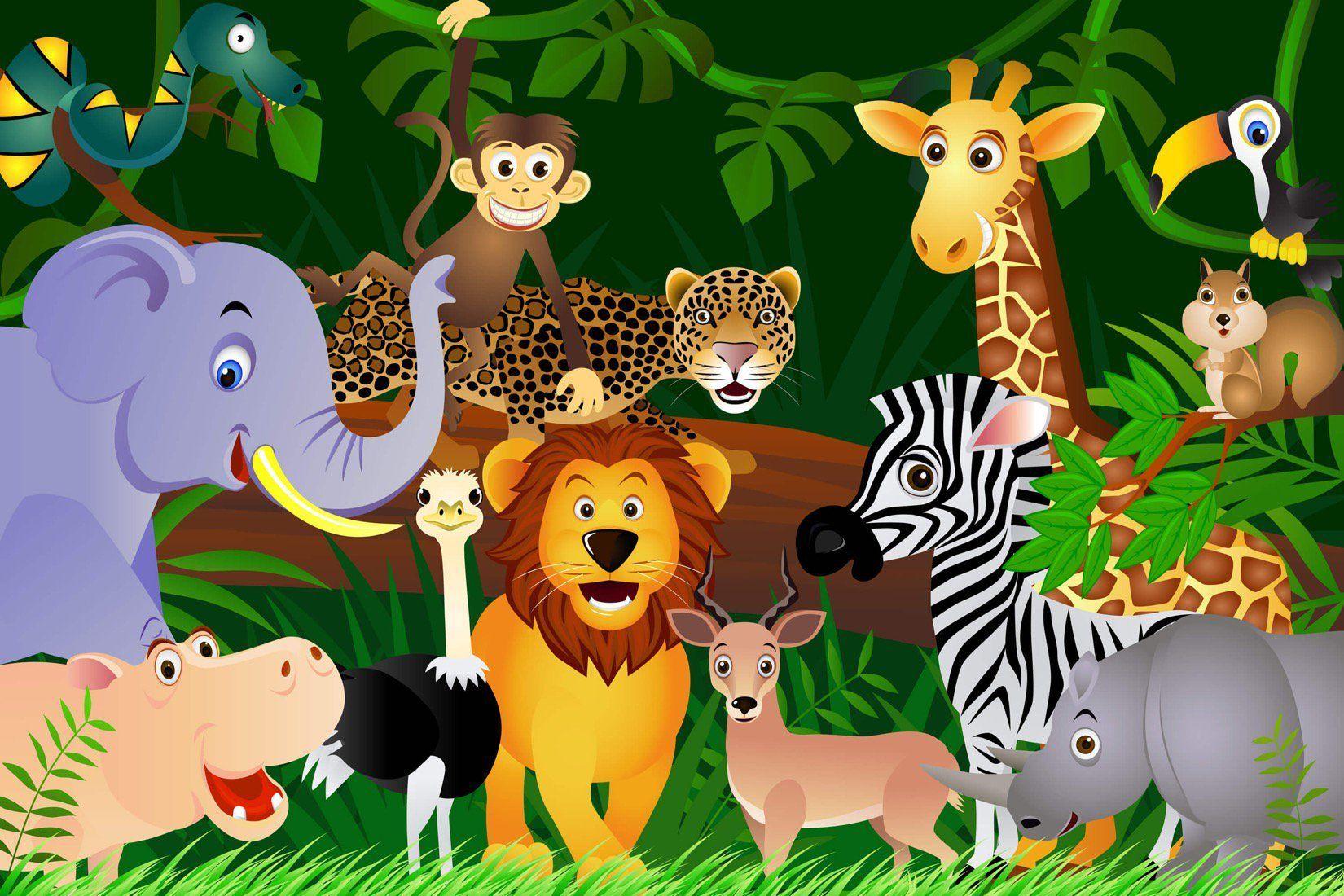 Real Animal Wallpapers - Top Free Real Animal Backgrounds - WallpaperAccess