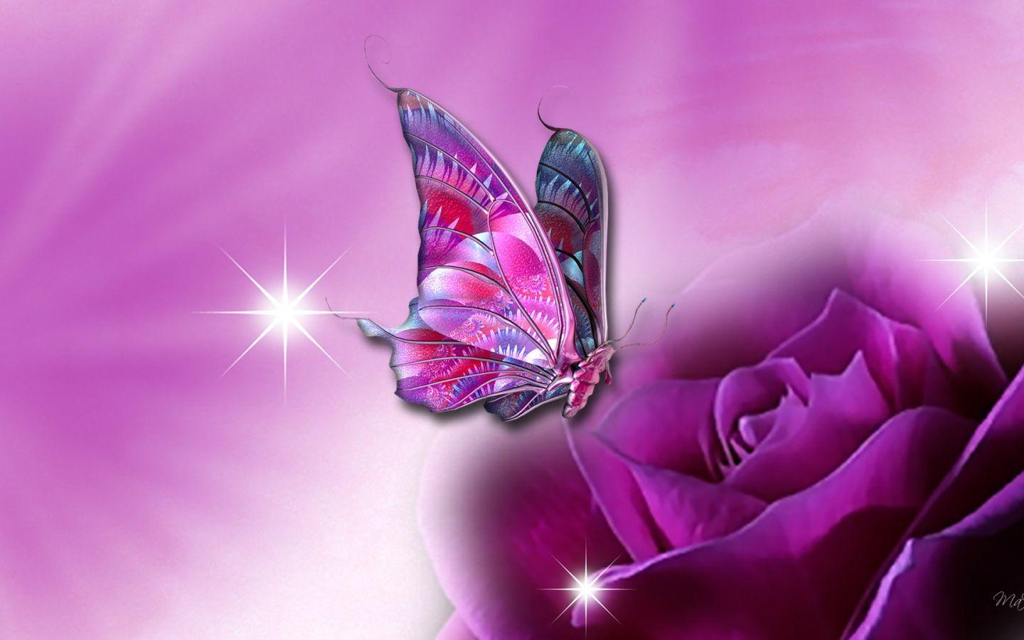 Real Butterfly Wallpapers - Top Free Real Butterfly Backgrounds ...