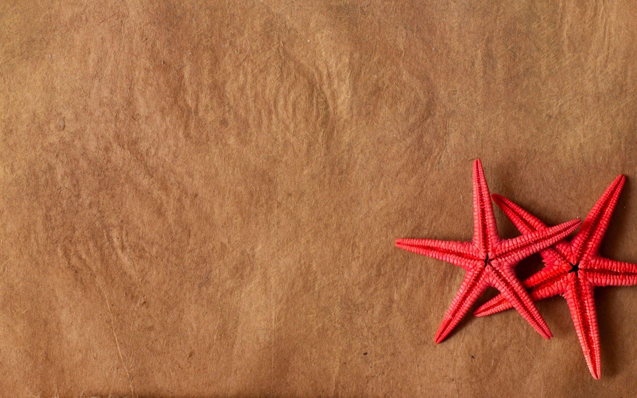 Sea Star Wallpapers - Top Free Sea Star Backgrounds - WallpaperAccess