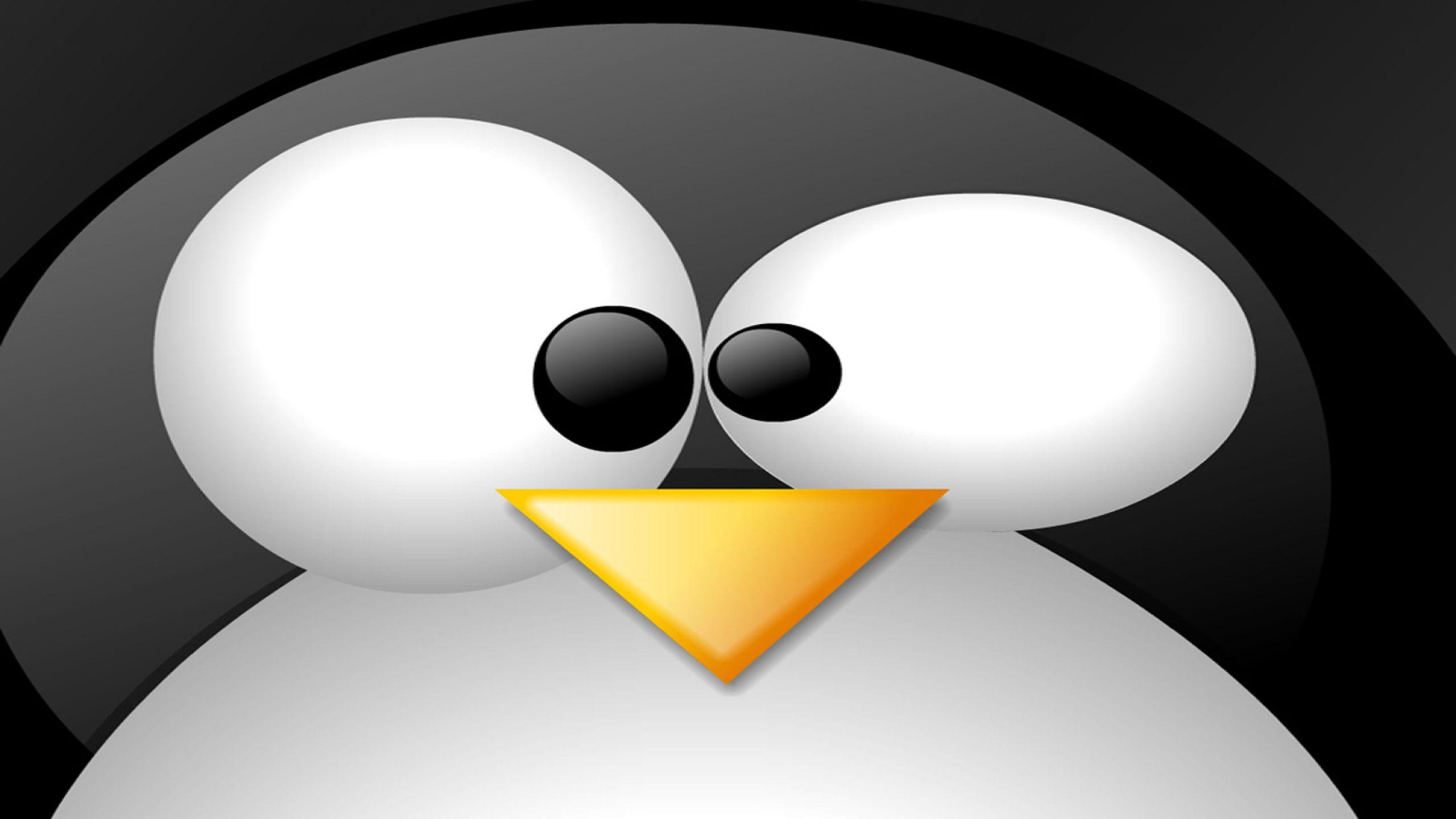 Penguin Cartoon Wallpapers - Top Free Penguin Cartoon Backgrounds ...