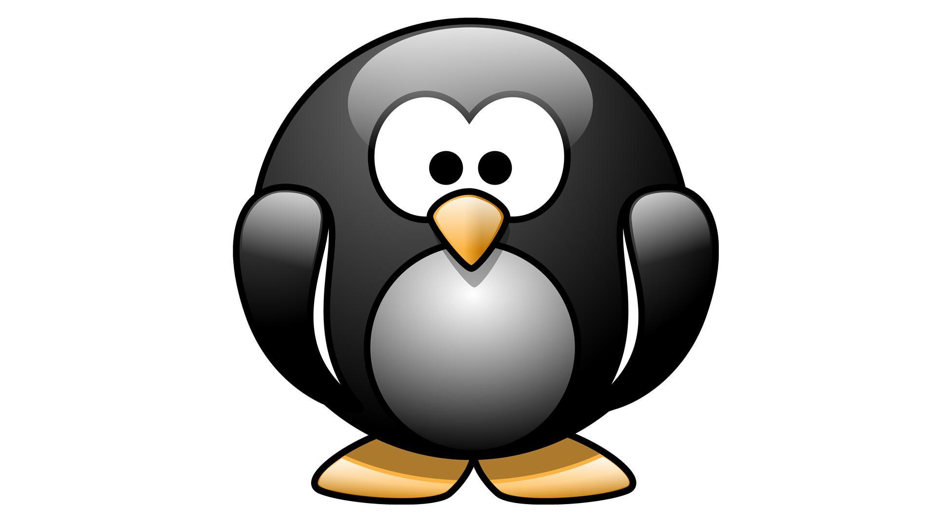 Penguin Cartoon Wallpapers - Top Free Penguin Cartoon Backgrounds ...