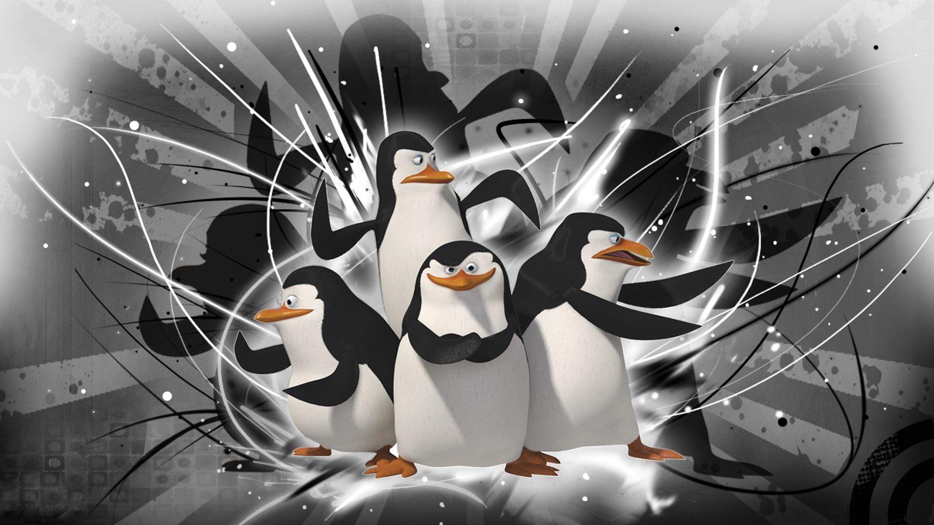 Penguin Cartoon Wallpapers - Top Free Penguin Cartoon Backgrounds ...