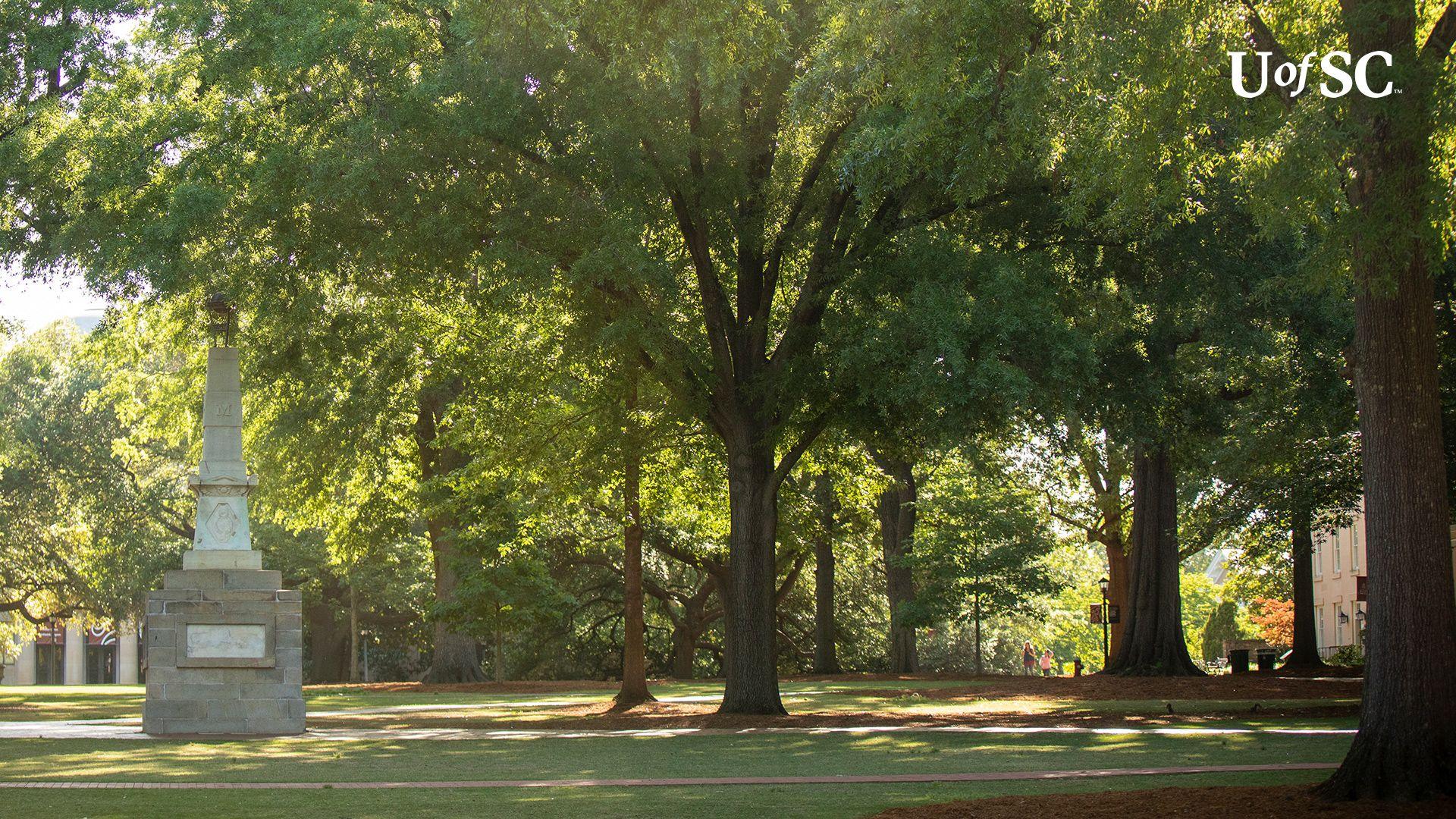 University of South Carolina Wallpapers - Top Free University of South ...