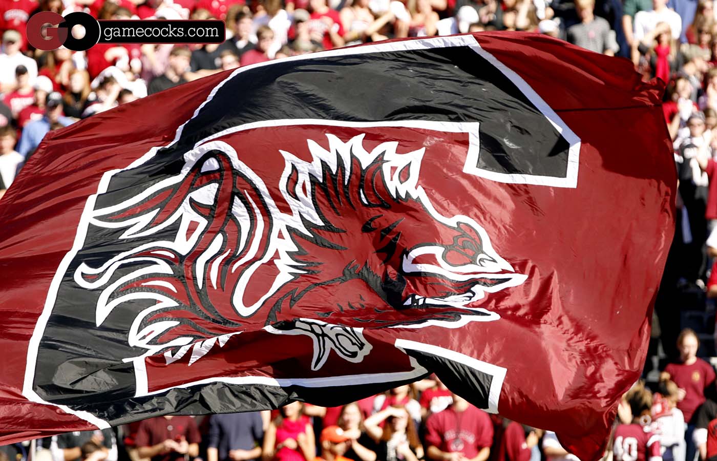 University of South Carolina Wallpapers - Top Free University of South ...