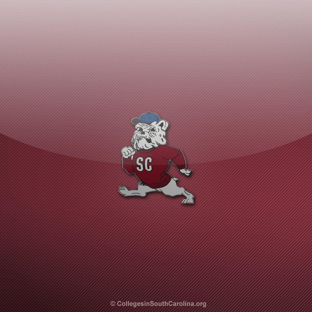 University of South Carolina Wallpapers - Top Free University of South ...