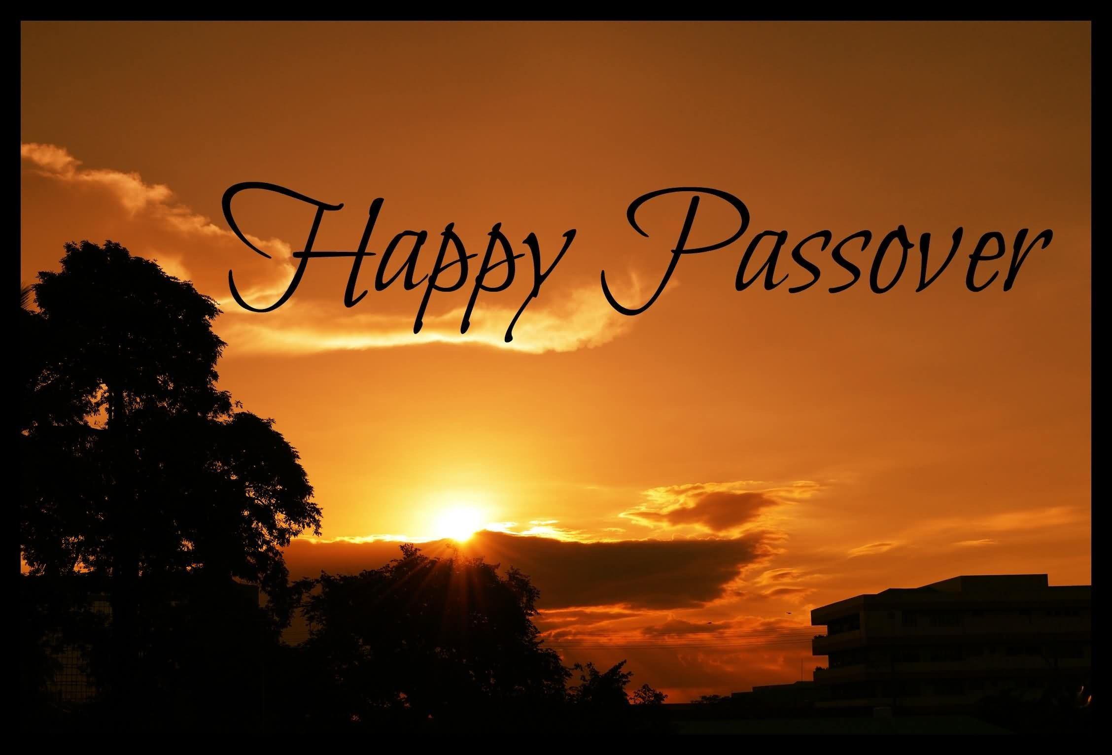 Passover Wallpapers - Top Free Passover Backgrounds - WallpaperAccess