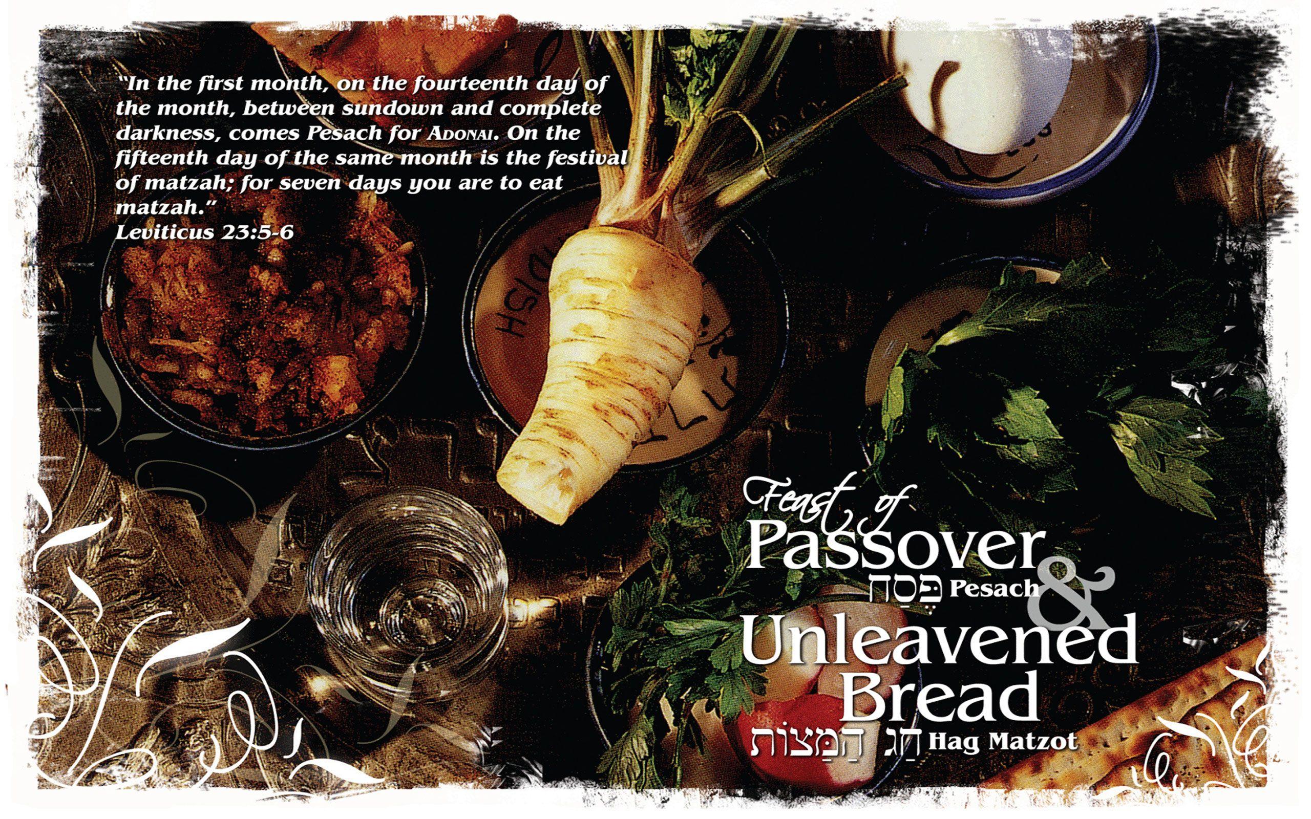 Passover Wallpapers - Top Free Passover Backgrounds - WallpaperAccess