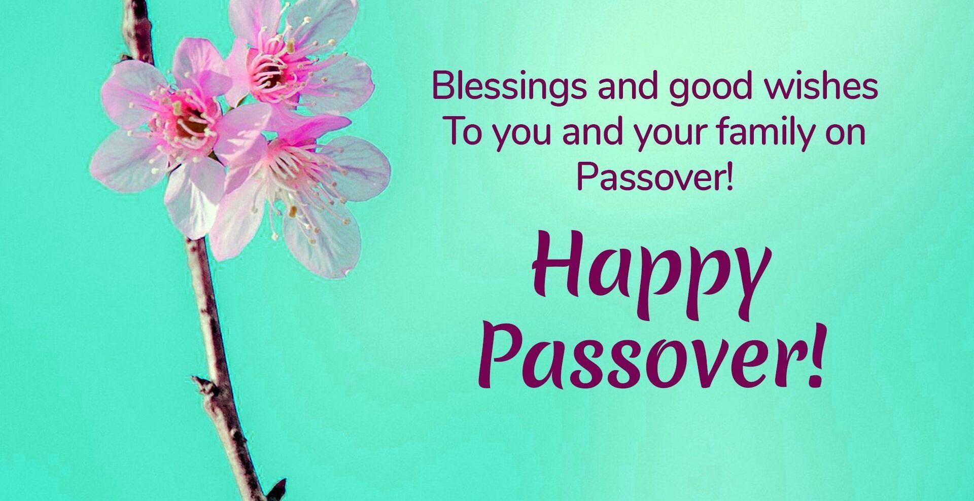 Passover Wallpapers - Top Free Passover Backgrounds - WallpaperAccess